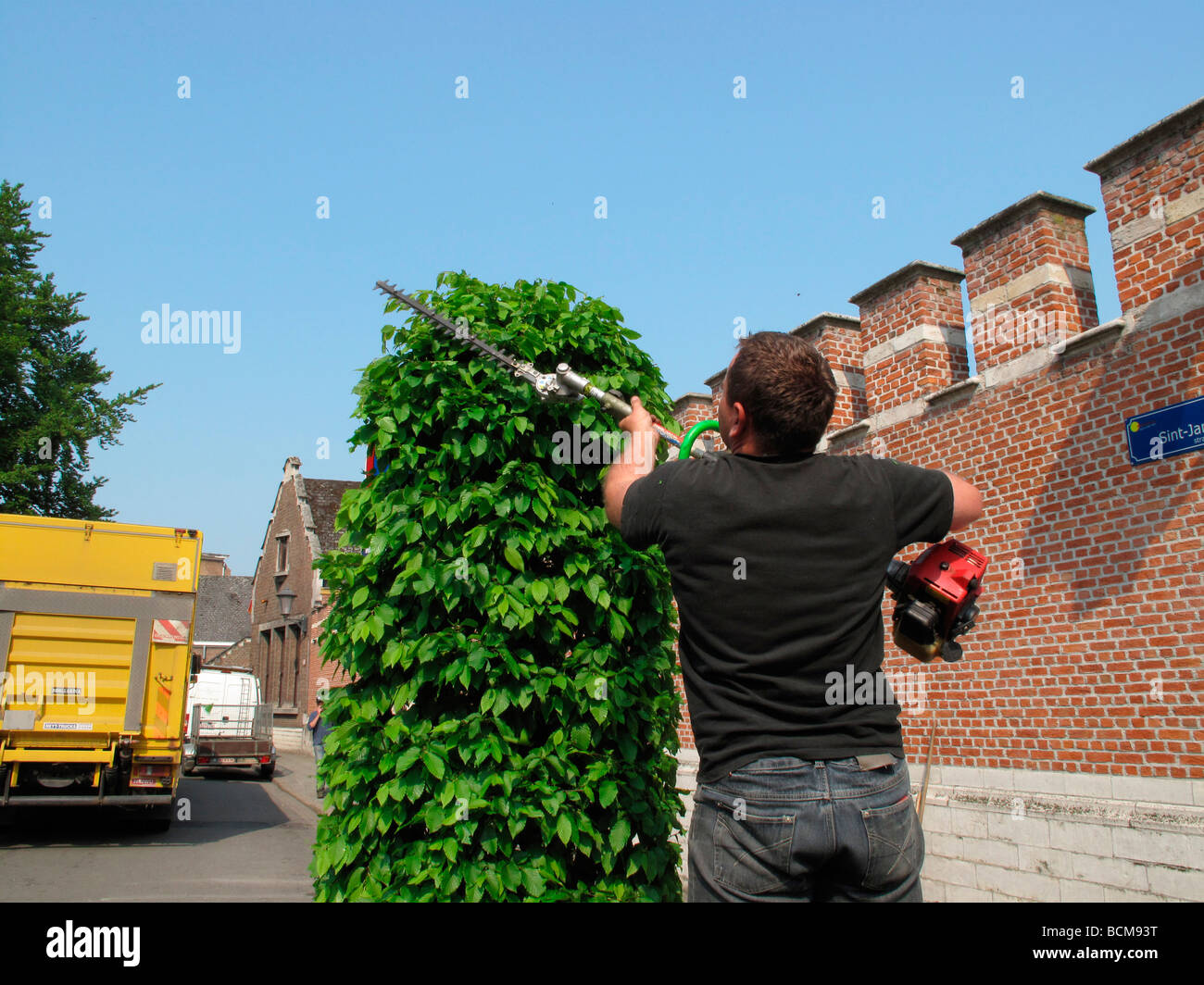 Worker cutting tree with mobile electric cutter Belgium Stock Photo - Alamy