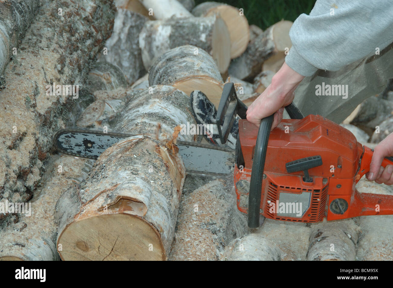 Cutting small log with chainsaw Stock Photo - Alamy
