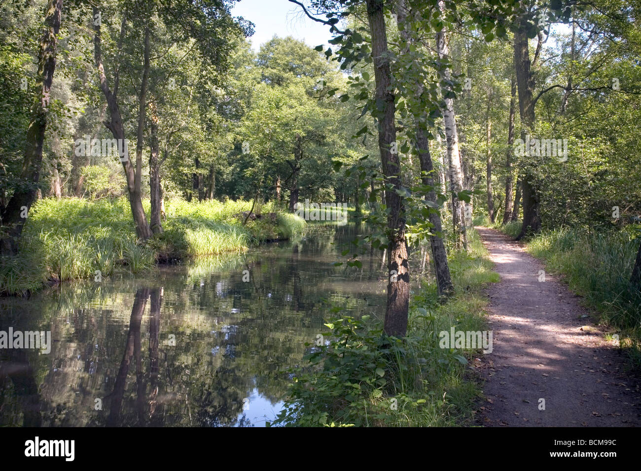 Lubbenau spreewald scenic germany hi-res stock photography and images ...