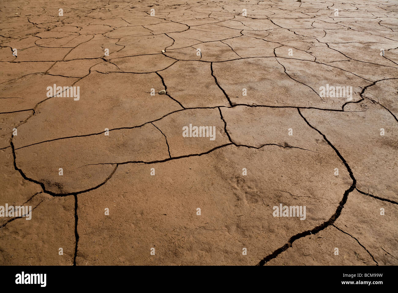 A wide angle shot of dry cracked earth Stock Photo - Alamy