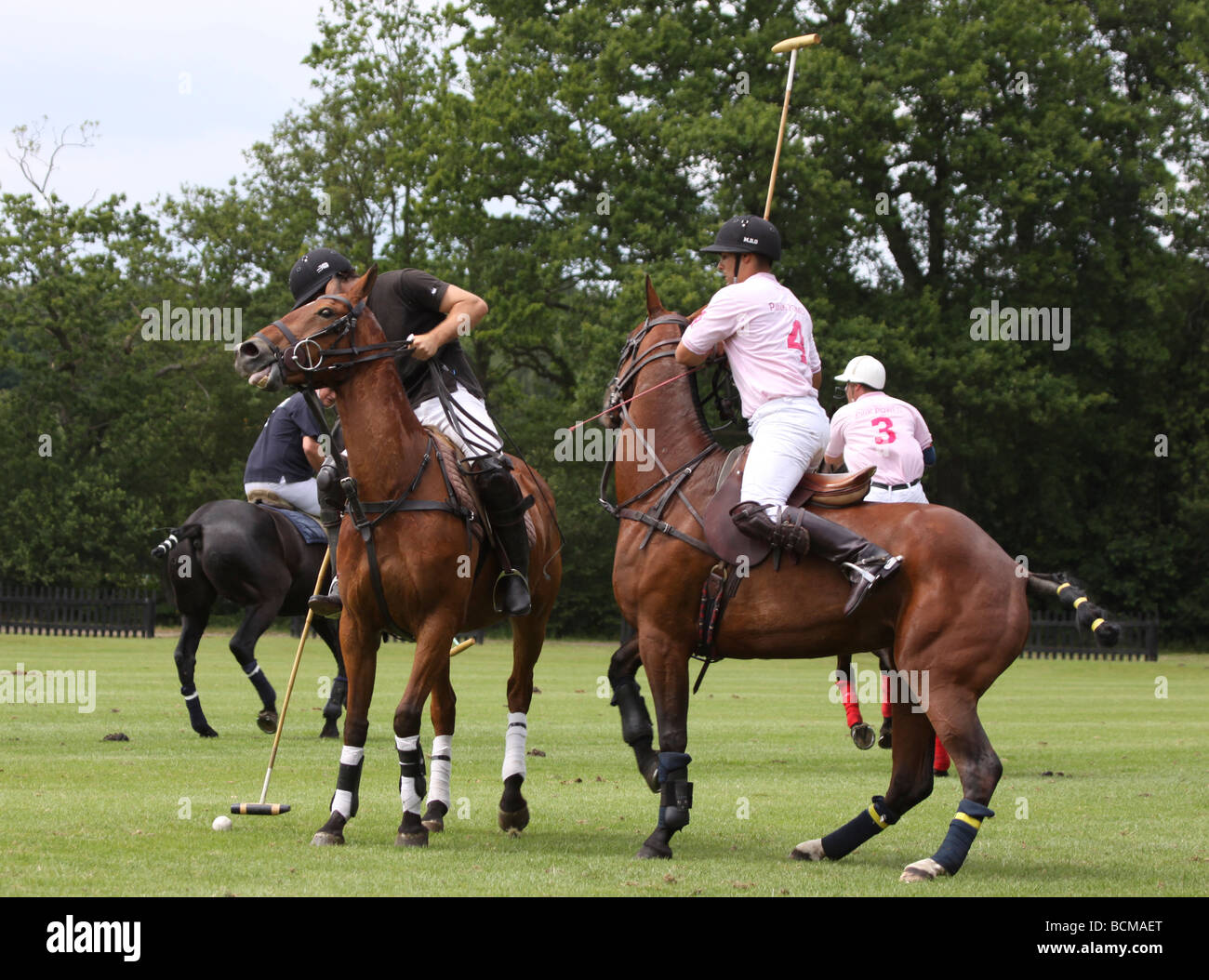 Riders playing polo Stock Photo - Alamy
