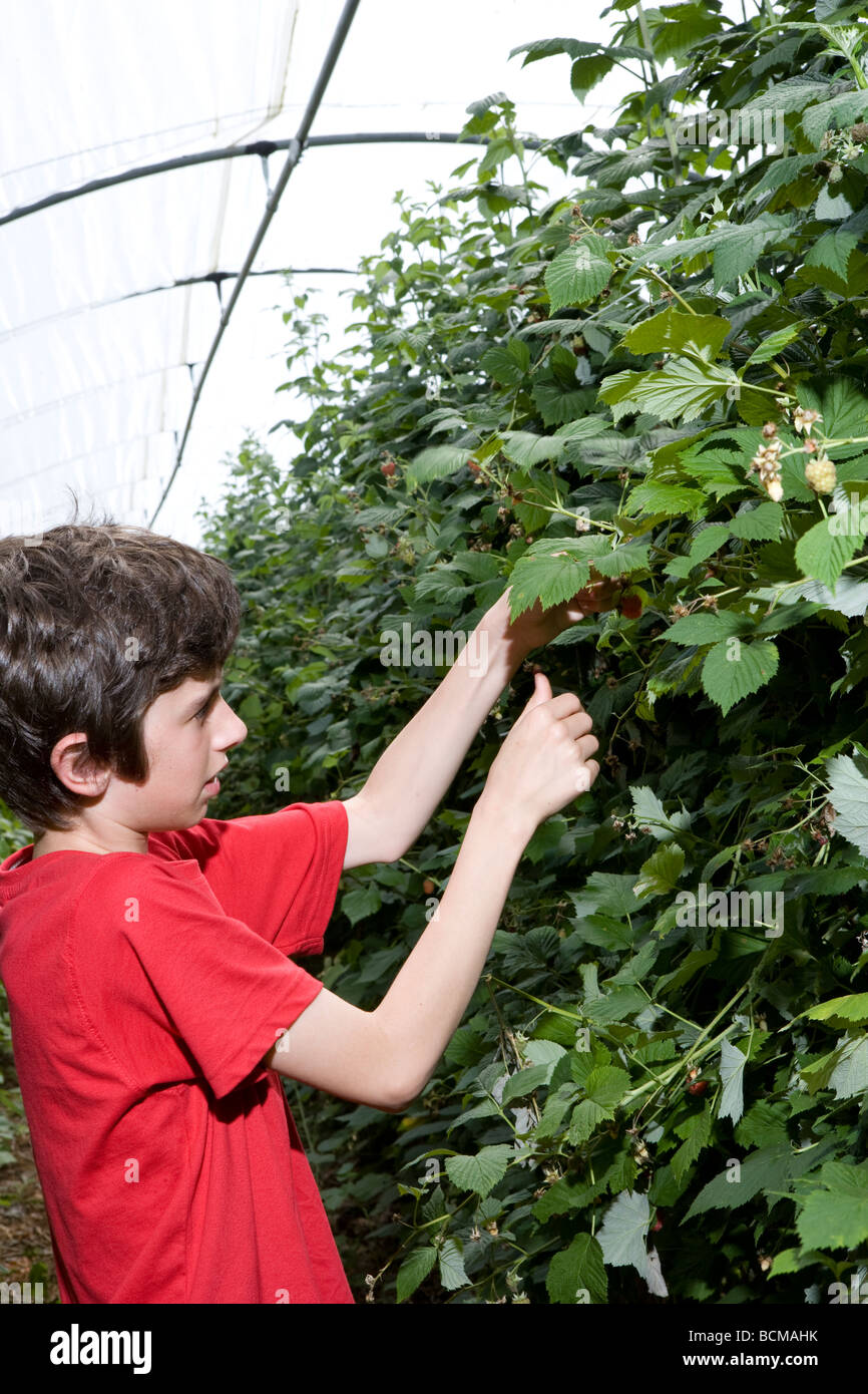 Own farming hi-res stock photography and images - Alamy