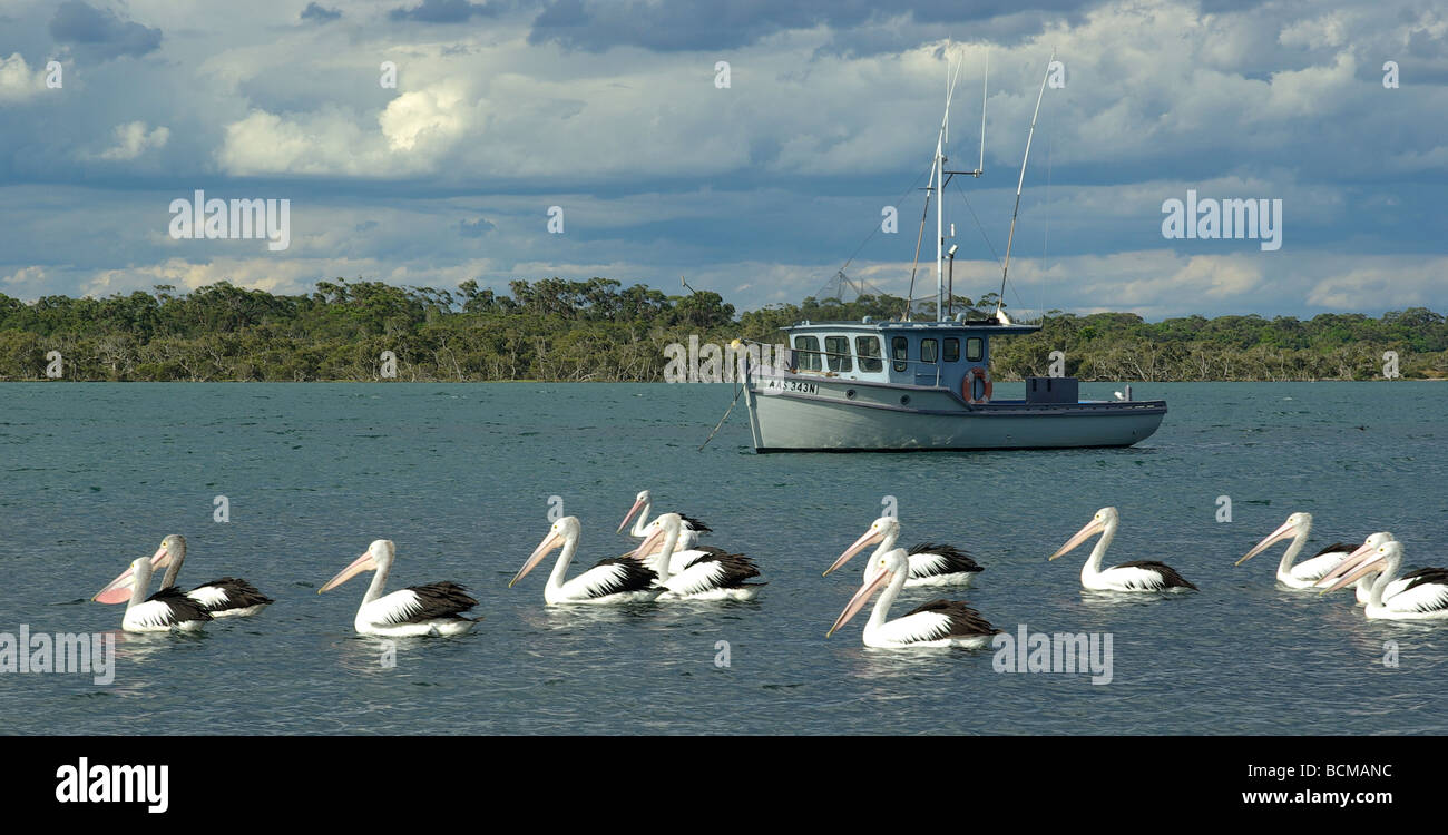 Greenwell point hi-res stock photography and images - Alamy