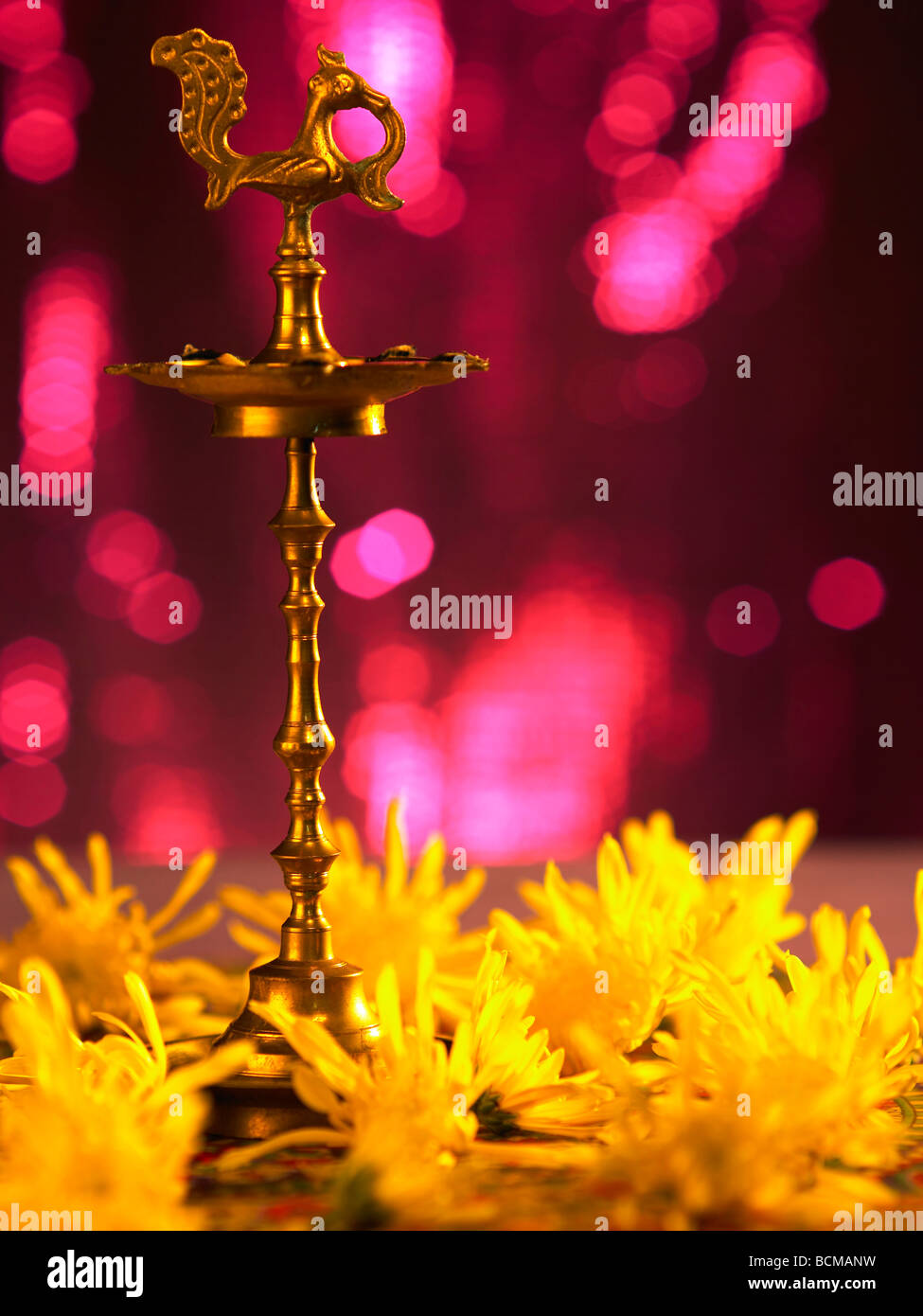 Cadle hi-res stock photography and images - Alamy