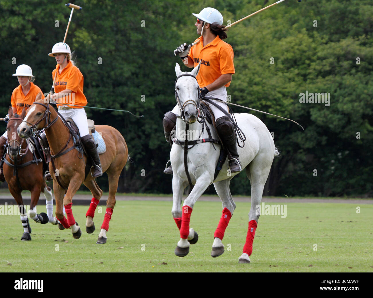 Riders playing polo Stock Photo - Alamy