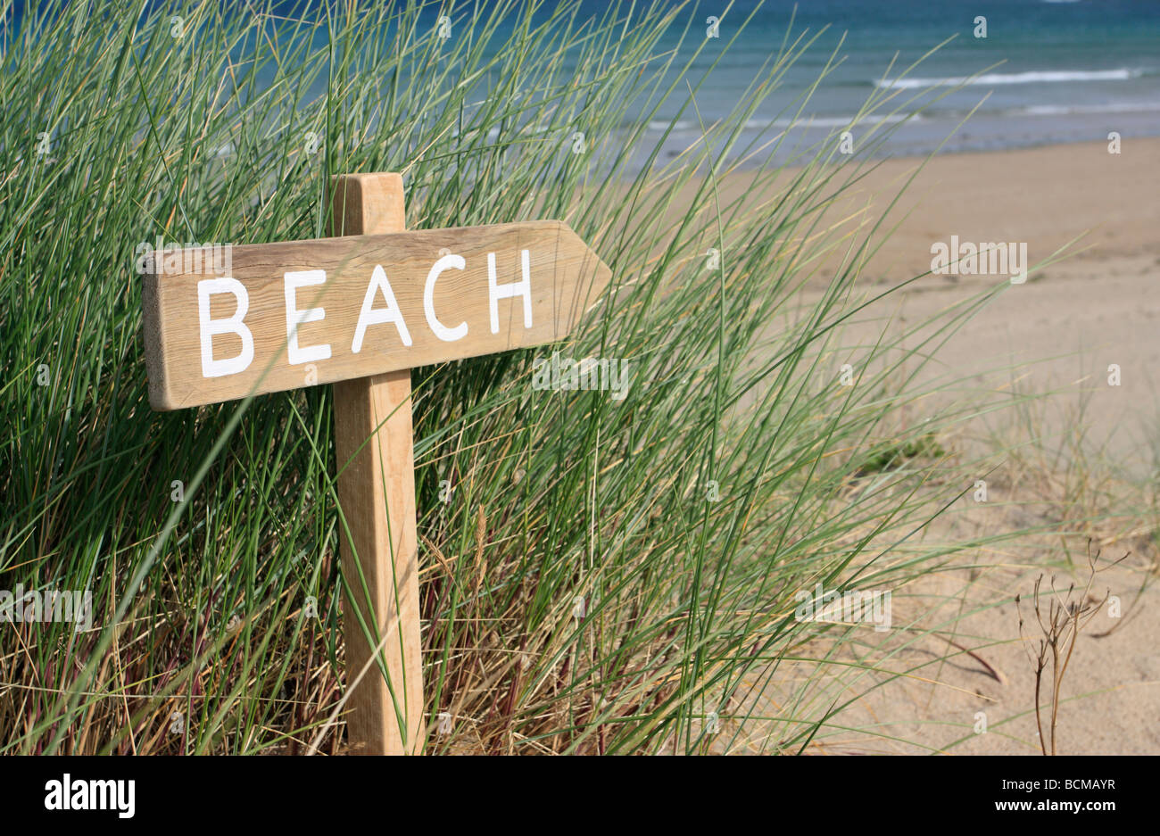 Uk beach wood grass hi-res stock photography and images - Alamy