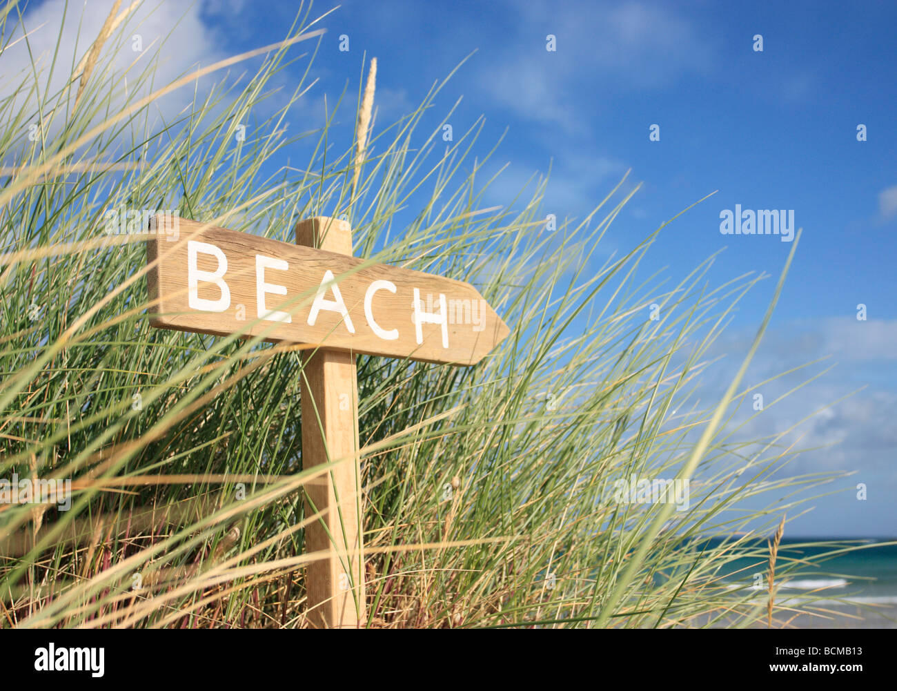 Uk beach wood grass hi-res stock photography and images - Alamy