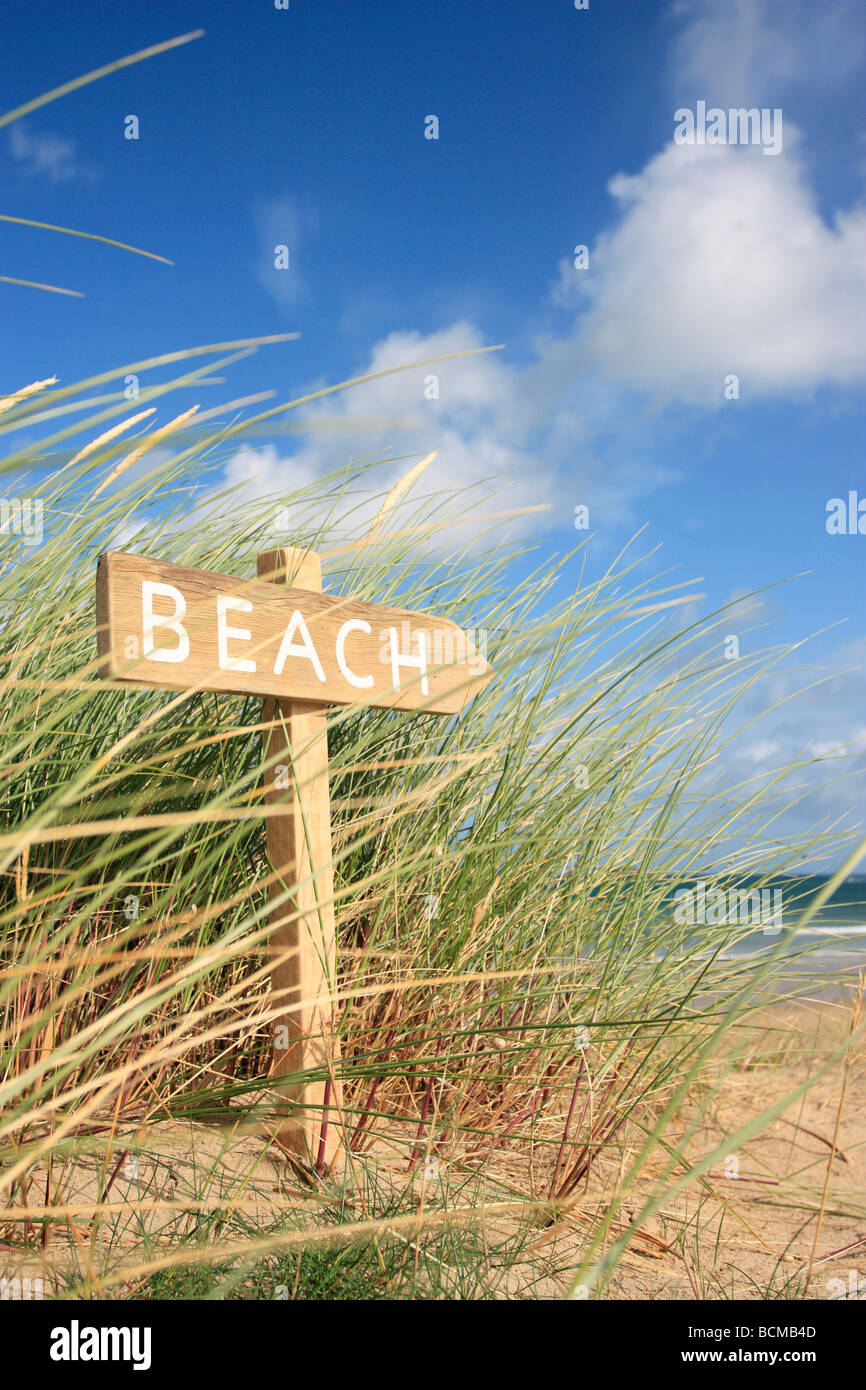 Uk beach wood grass hi-res stock photography and images - Alamy