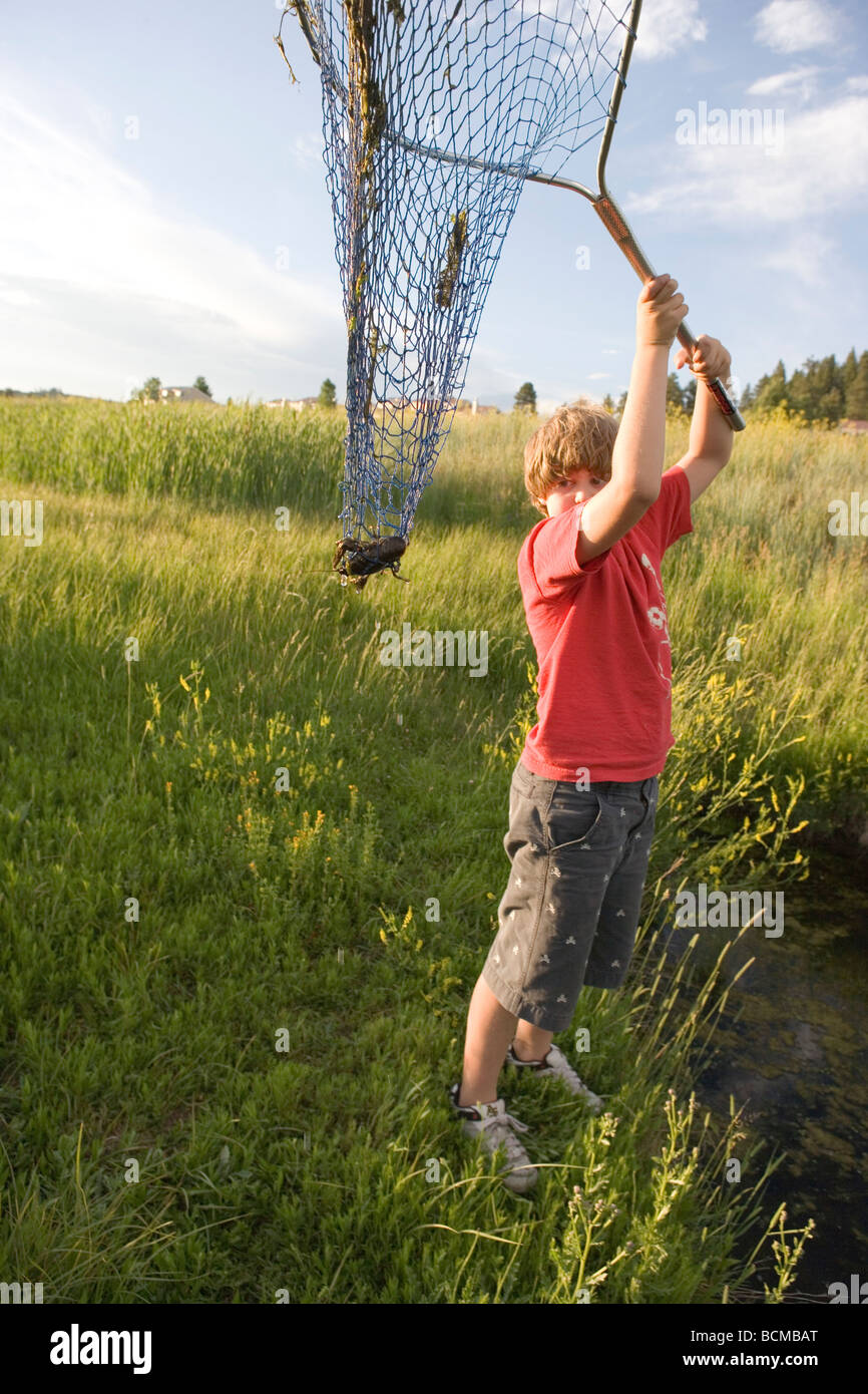 ten year old boy raising his net to show a crawfish he caught in a ...