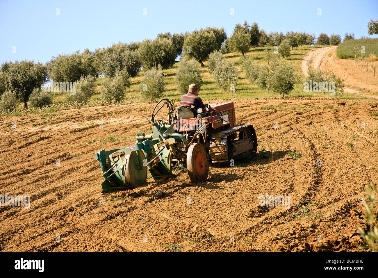 Farming In Le Marche, Italy Stock Photo - Alamy