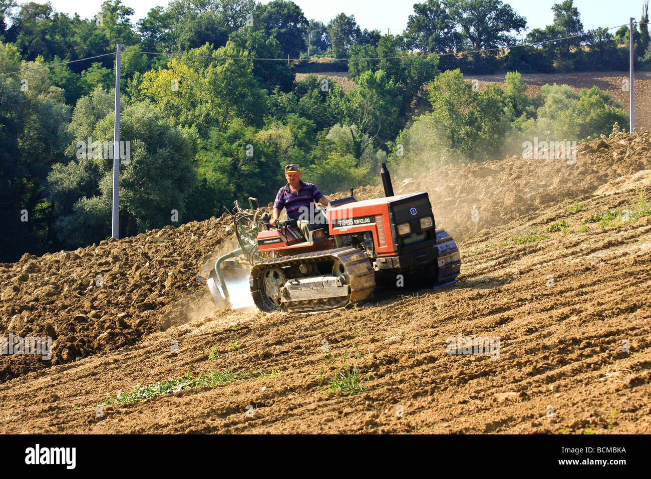 Farming In Le Marche, Italy Stock Photo - Alamy