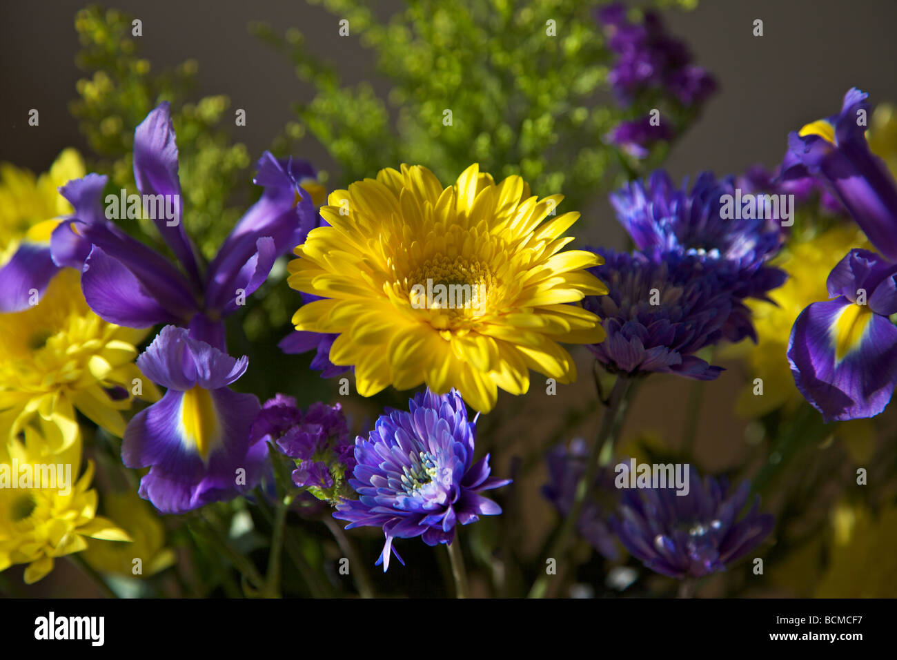 Flowers in sunlight Stock Photo - Alamy
