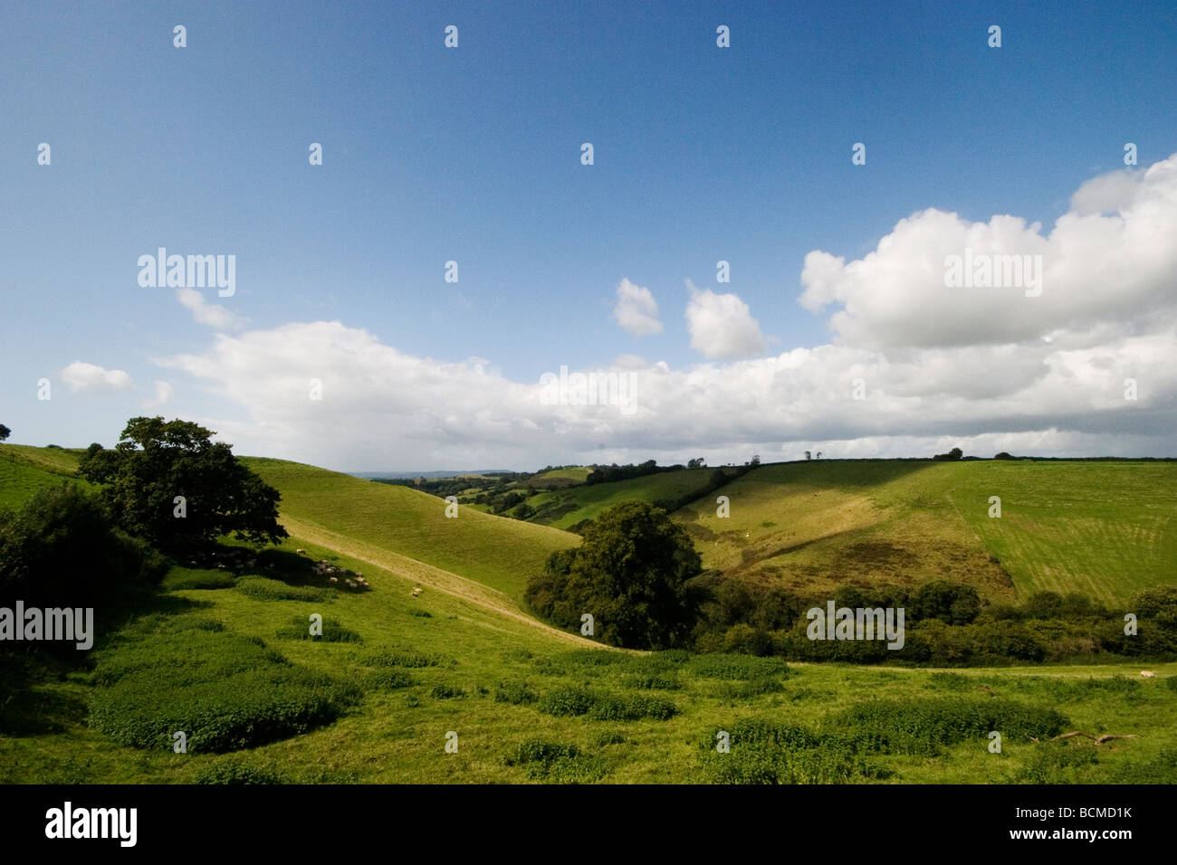 Loscombe valley hi-res stock photography and images - Alamy