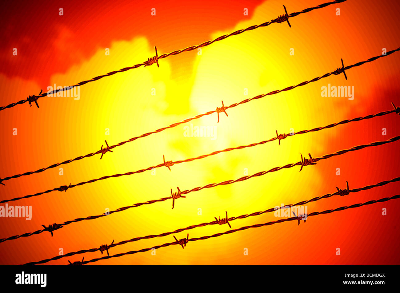 barb wire sunset Stock Photo - Alamy