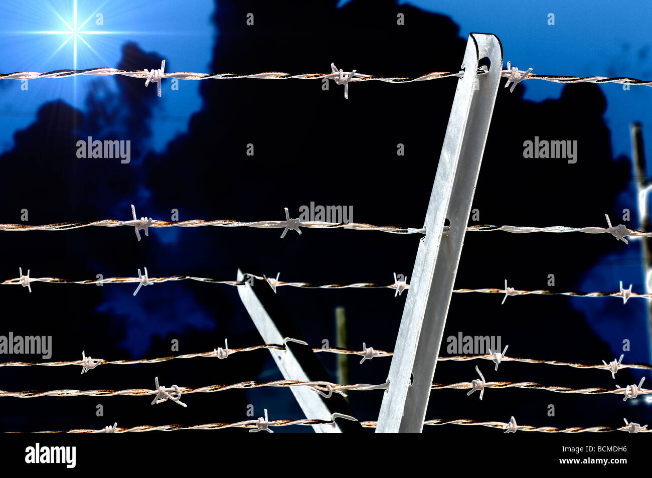 barb wire and evening star at dusk Stock Photo - Alamy