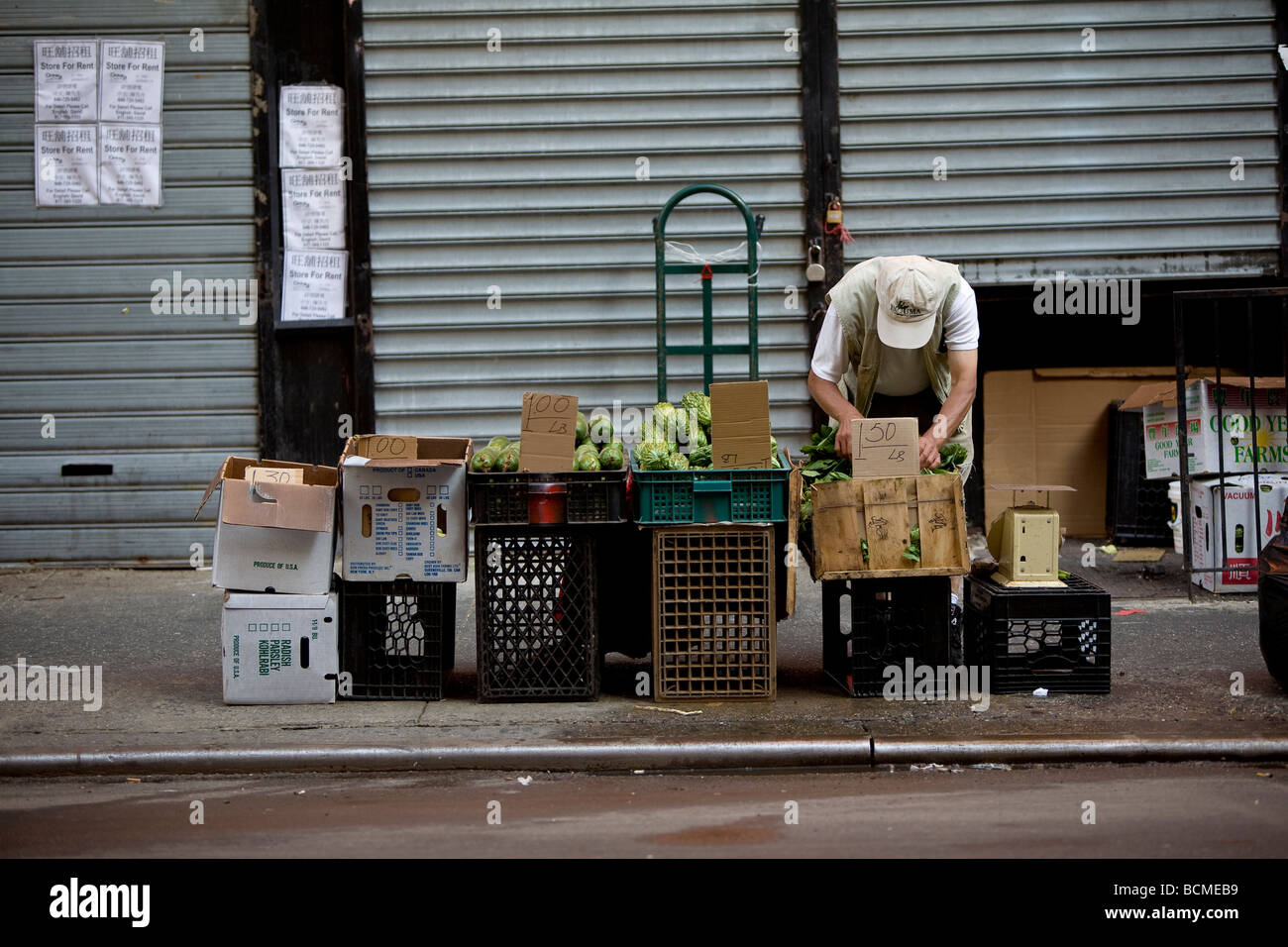 Man sorting vegetables of his sale stand in Chinatown, Manhattan, NY ...