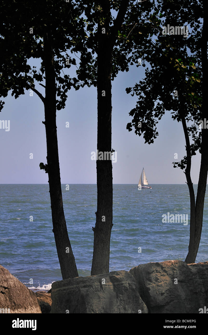 Sailboat with trees and rocks in the foreground Stock Photo - Alamy