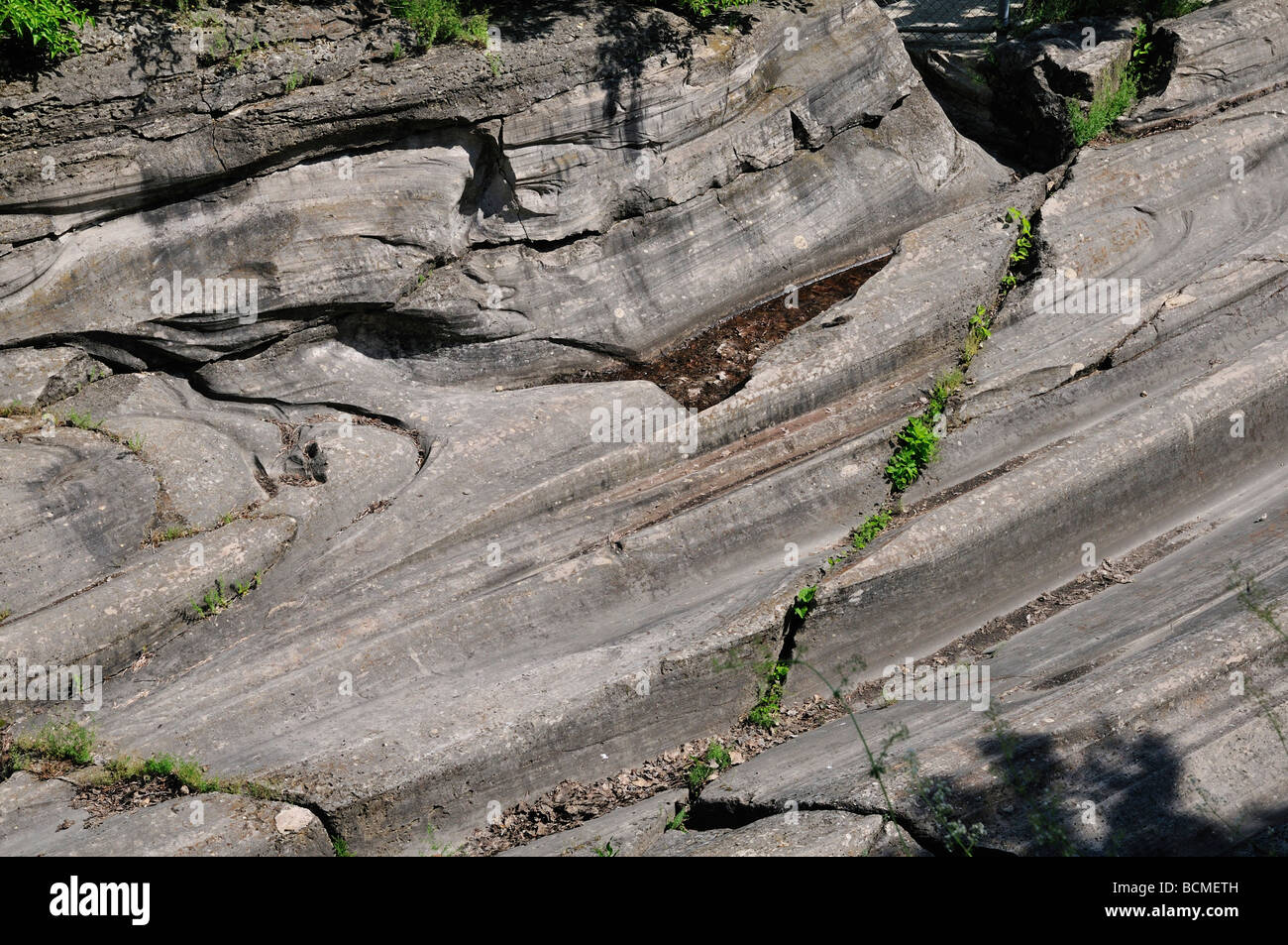 Glacial grooves cut in the limestone at Kelleys Island State Park Stock ...