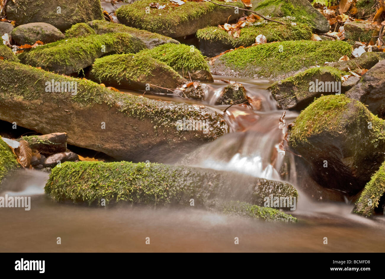 A Small Stream with running water and rocks Stock Photo - Alamy