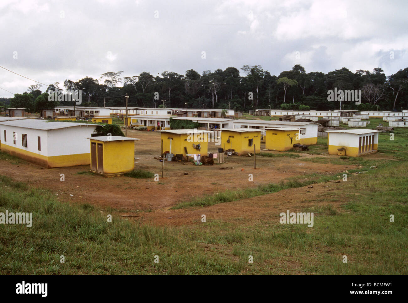 Ivory coast rubber plantation hi-res stock photography and images - Alamy