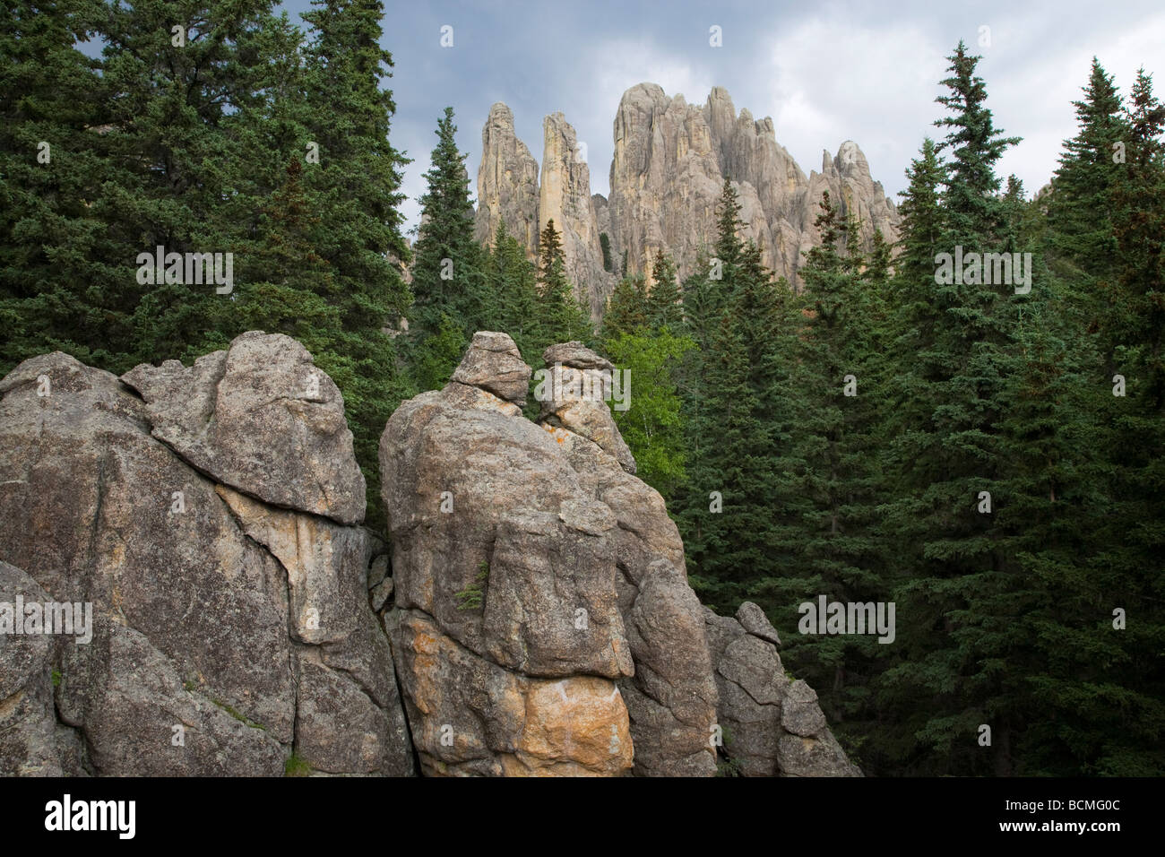Cathedral Spires (granite spires) in the Black Hills, Custer State Park ...