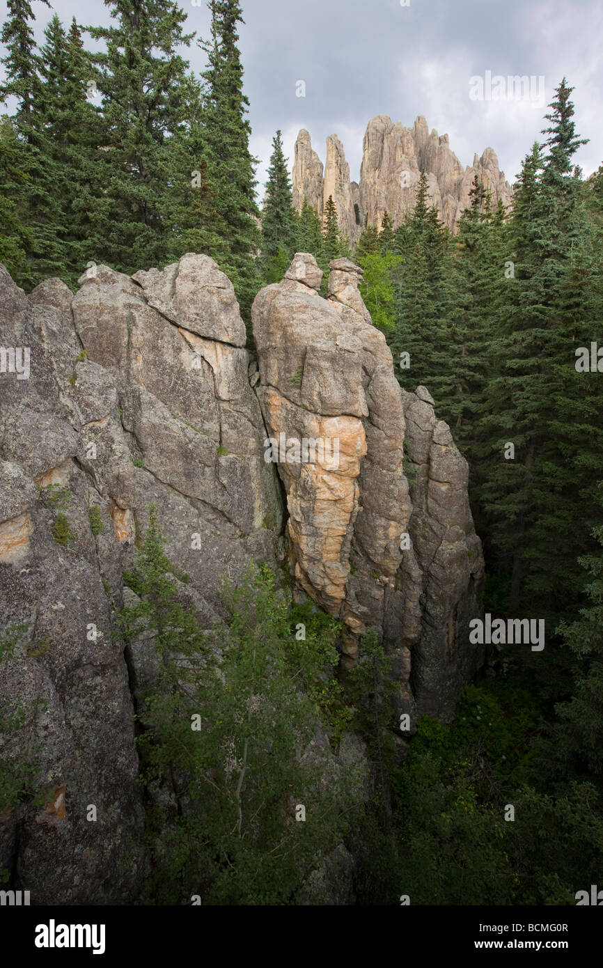 Cathedral Spires (granite spires) in the Black Hills, Custer State Park ...