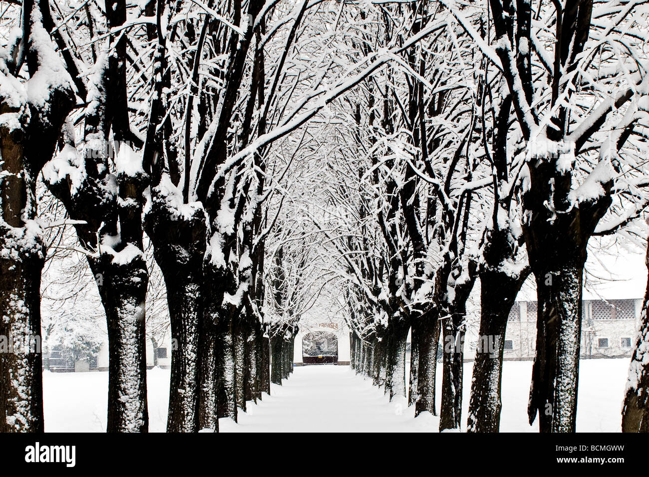 Cascina Italy High Resolution Stock Photography and Images - Alamy