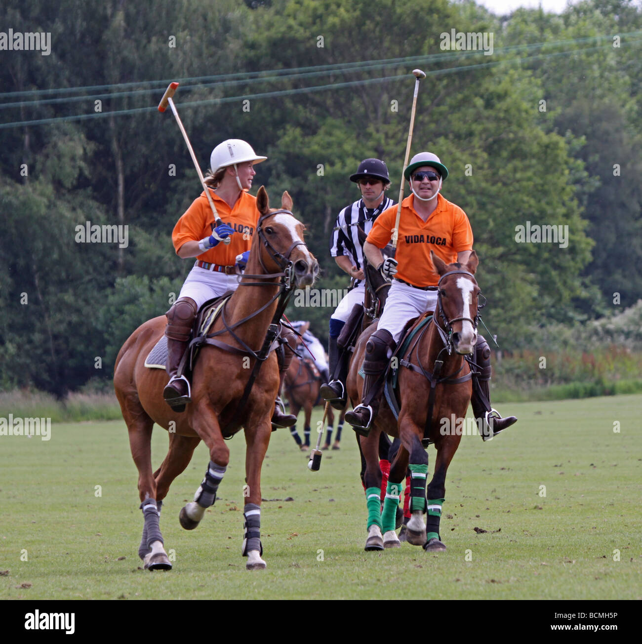 Riders playing polo Stock Photo - Alamy