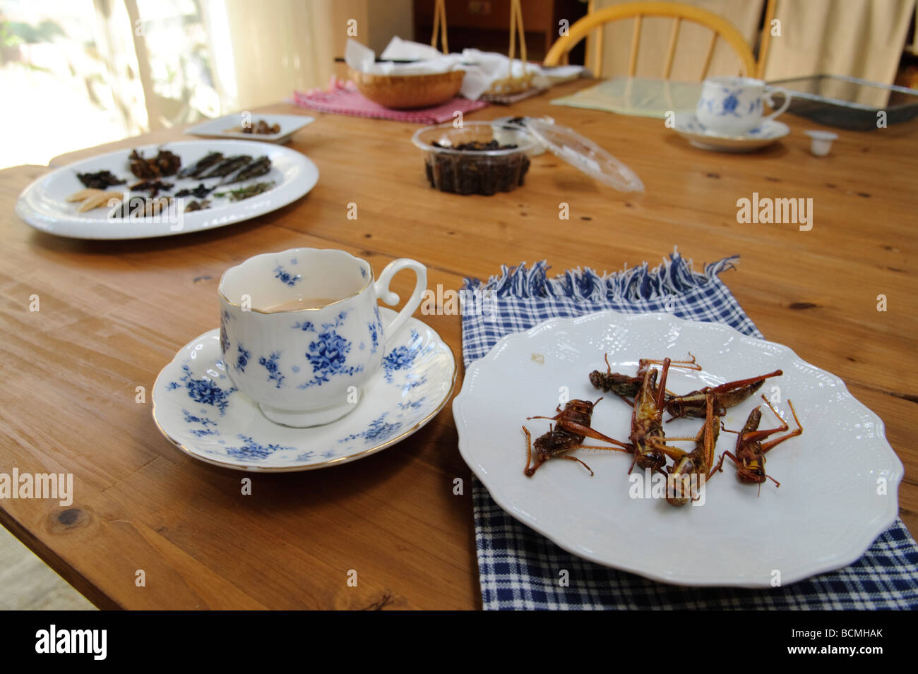 Insects and tea, Tokyo, Japan, 28 October, 2008 Stock Photo - Alamy