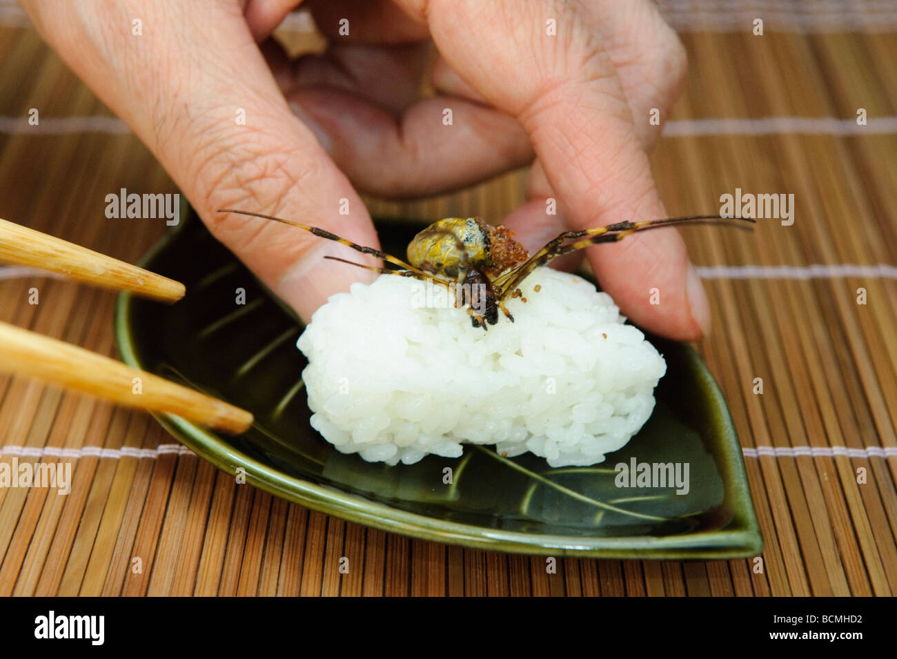 Insect sushi hi-res stock photography and images - Alamy