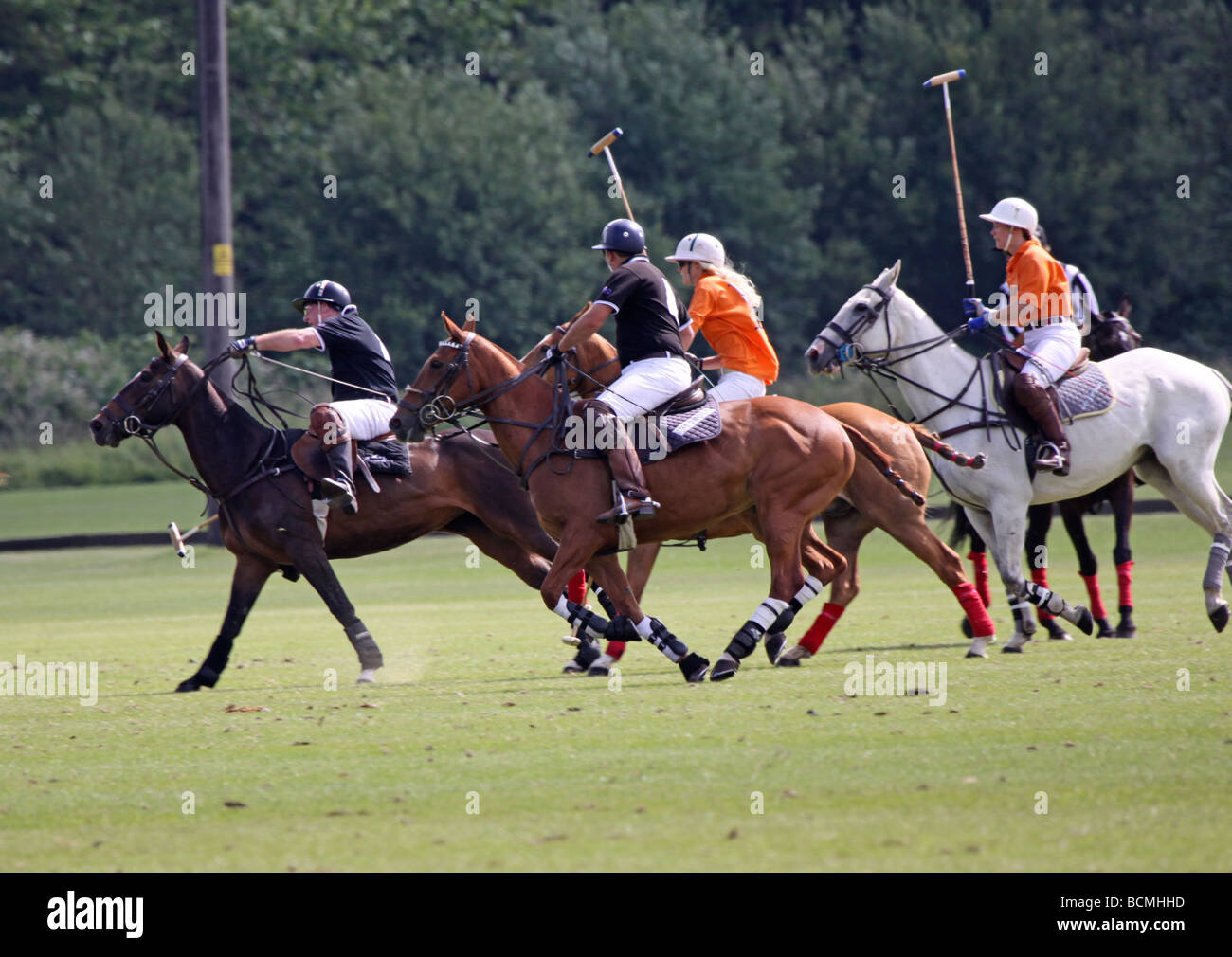 Riders playing polo Stock Photo - Alamy
