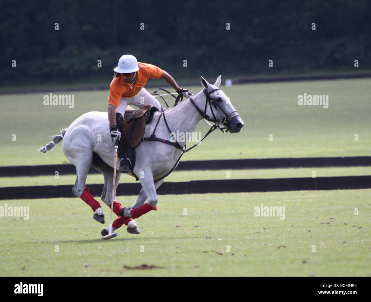 Polo player on a grey polo pony Stock Photo - Alamy