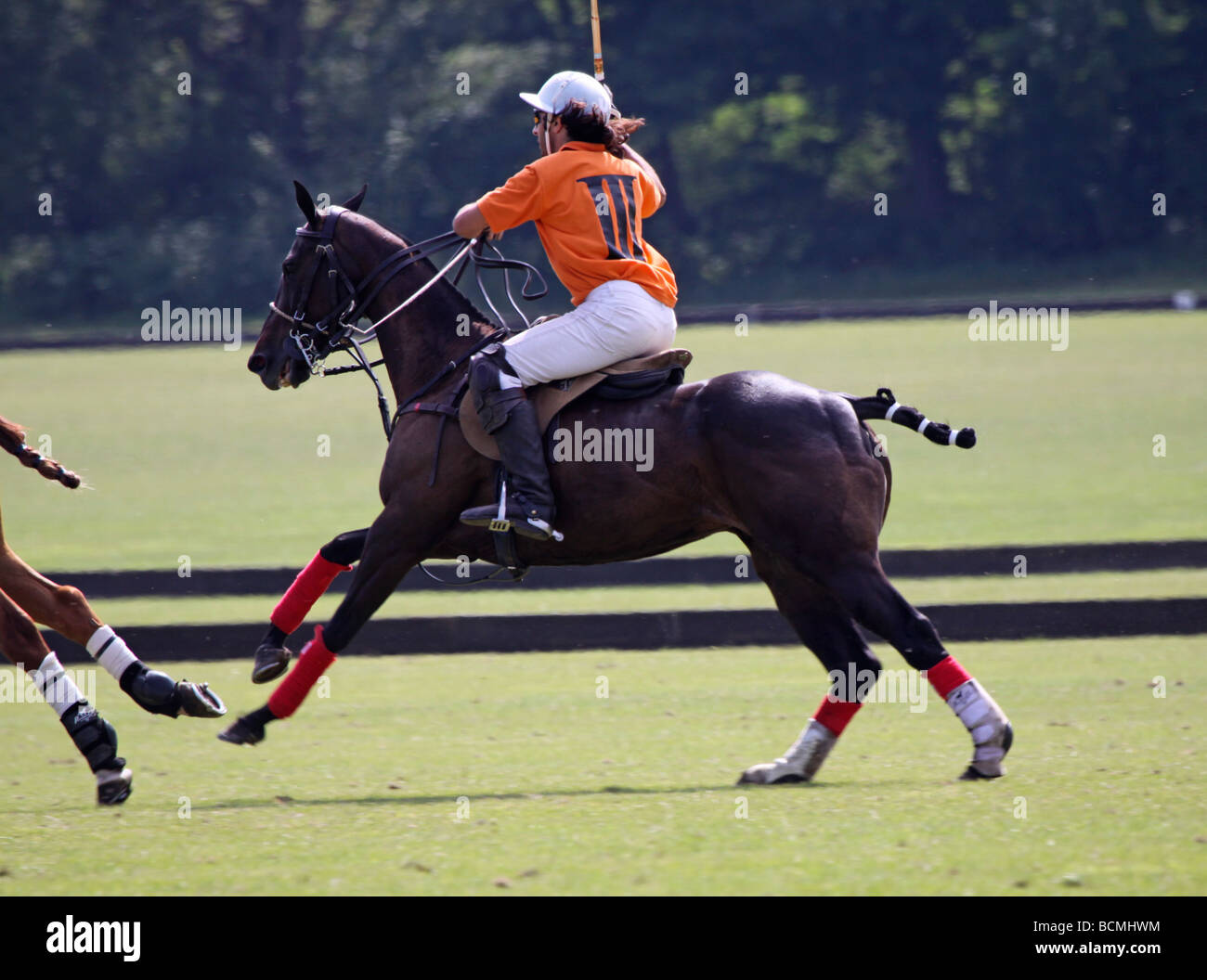 Polo player chasing after the ball Stock Photo - Alamy