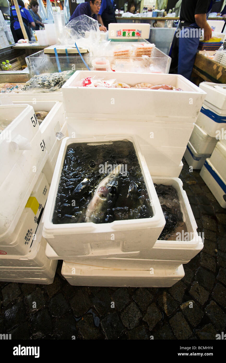 Torafugu japan hi-res stock photography and images - Alamy