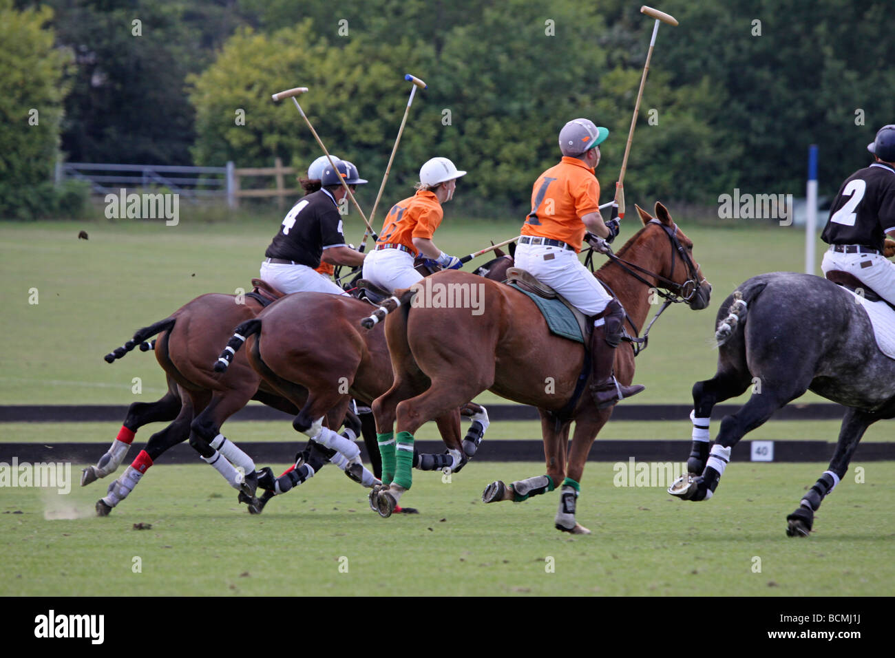 Riders playing polo Stock Photo - Alamy