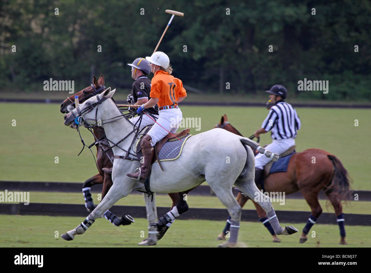 Riders playing polo Stock Photo - Alamy