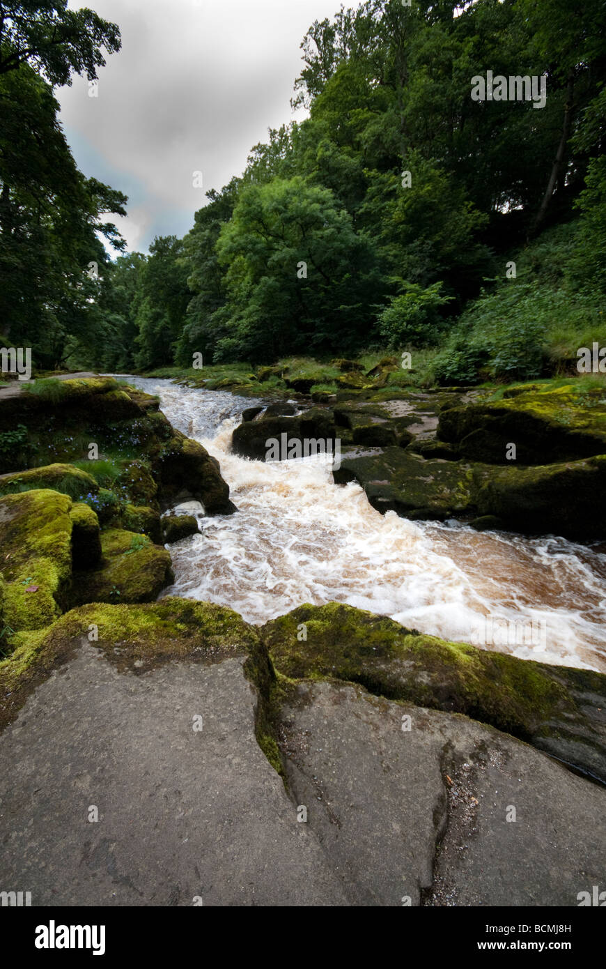 Bolton strid yorkshire hi-res stock photography and images - Alamy