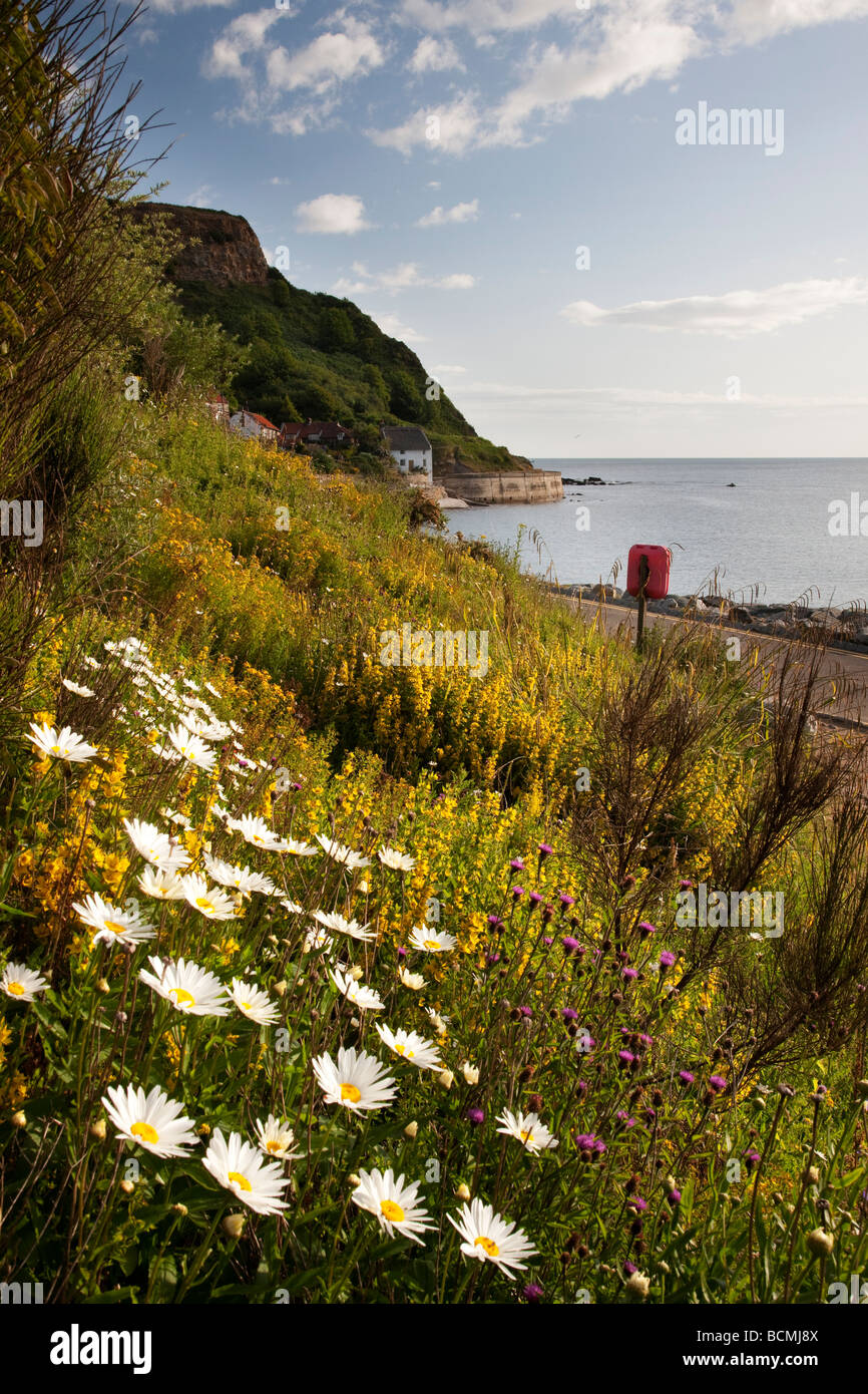 Runswick Bay High Resolution Stock Photography and Images - Alamy