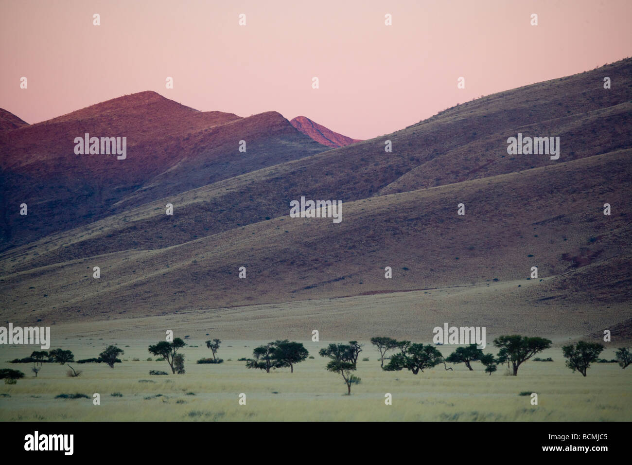 Winter in namibia desert hi-res stock photography and images - Alamy