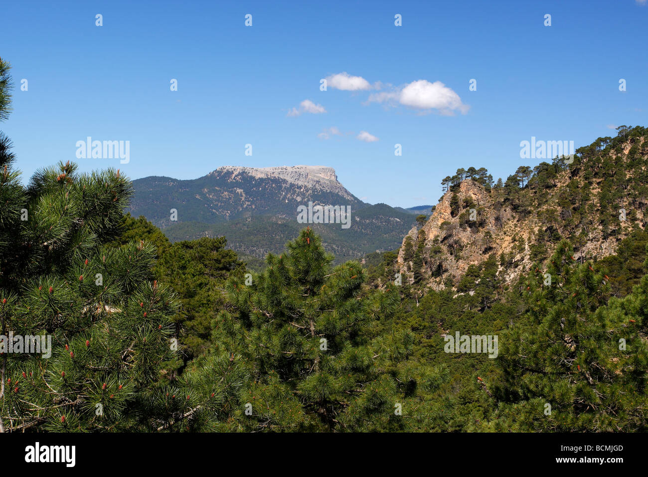 Sierra segura albacete hi-res stock photography and images - Alamy
