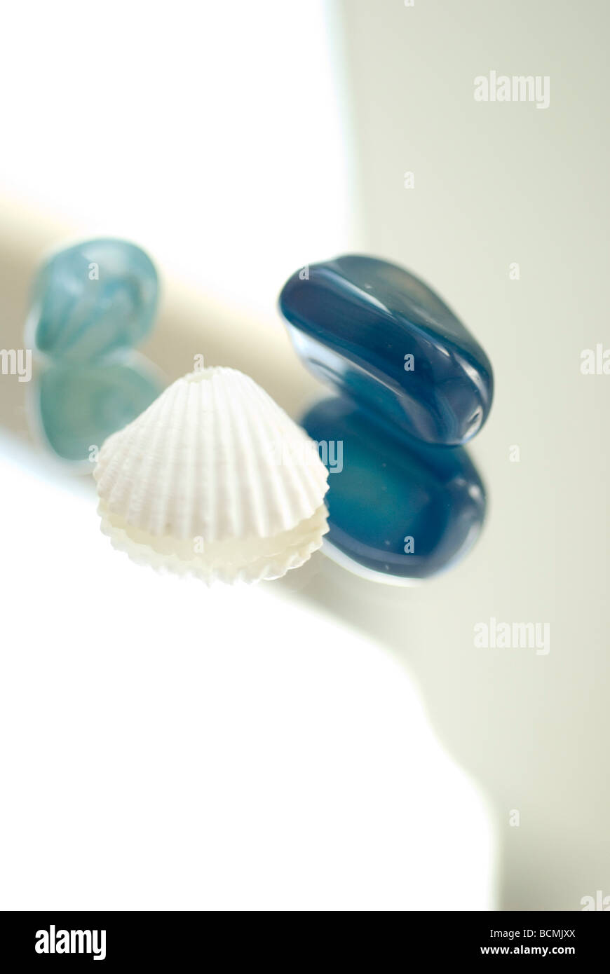 white small shell, precious stones in blue Stock Photo - Alamy