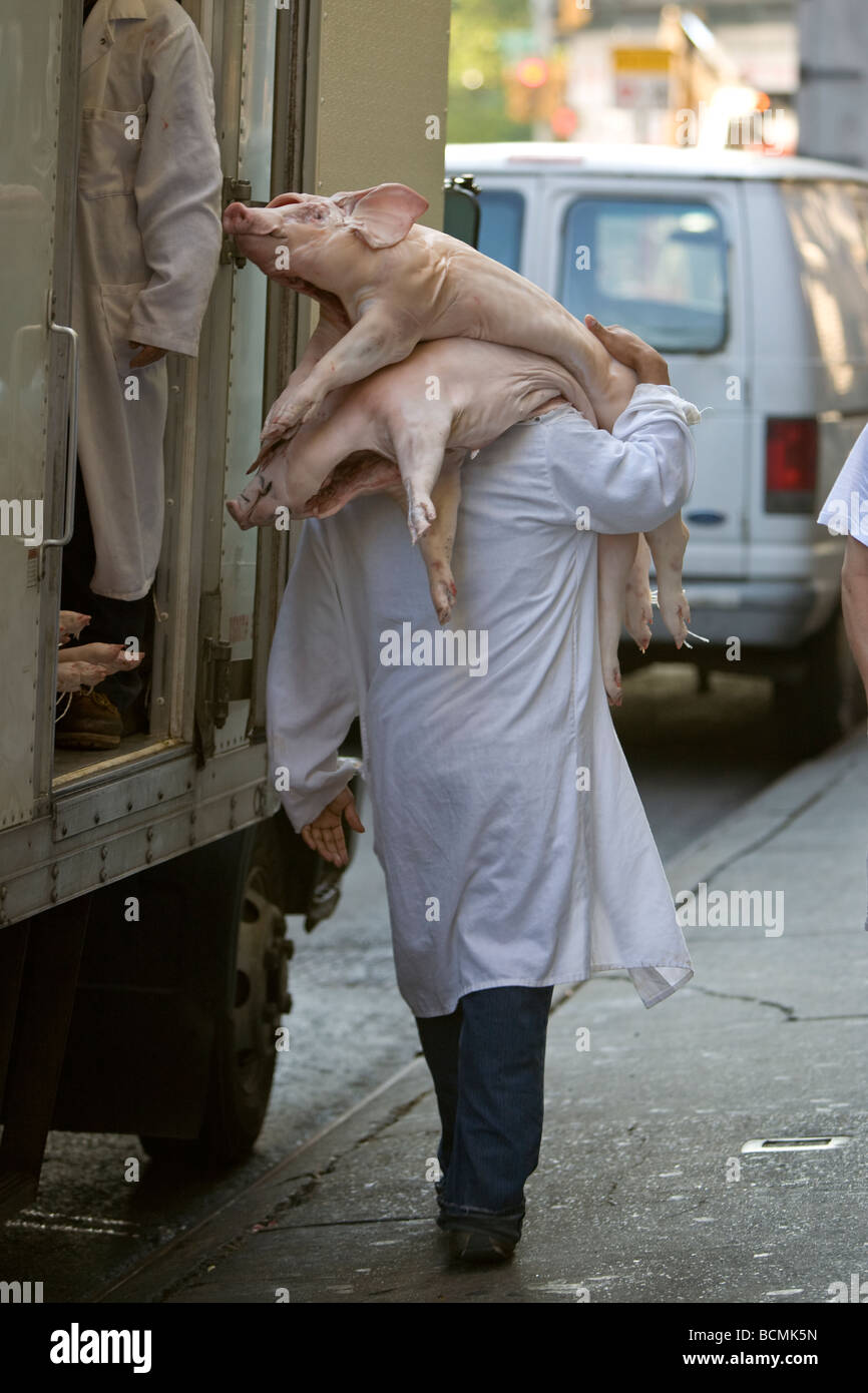 Pig plastic hi hi-res stock photography and images - Alamy