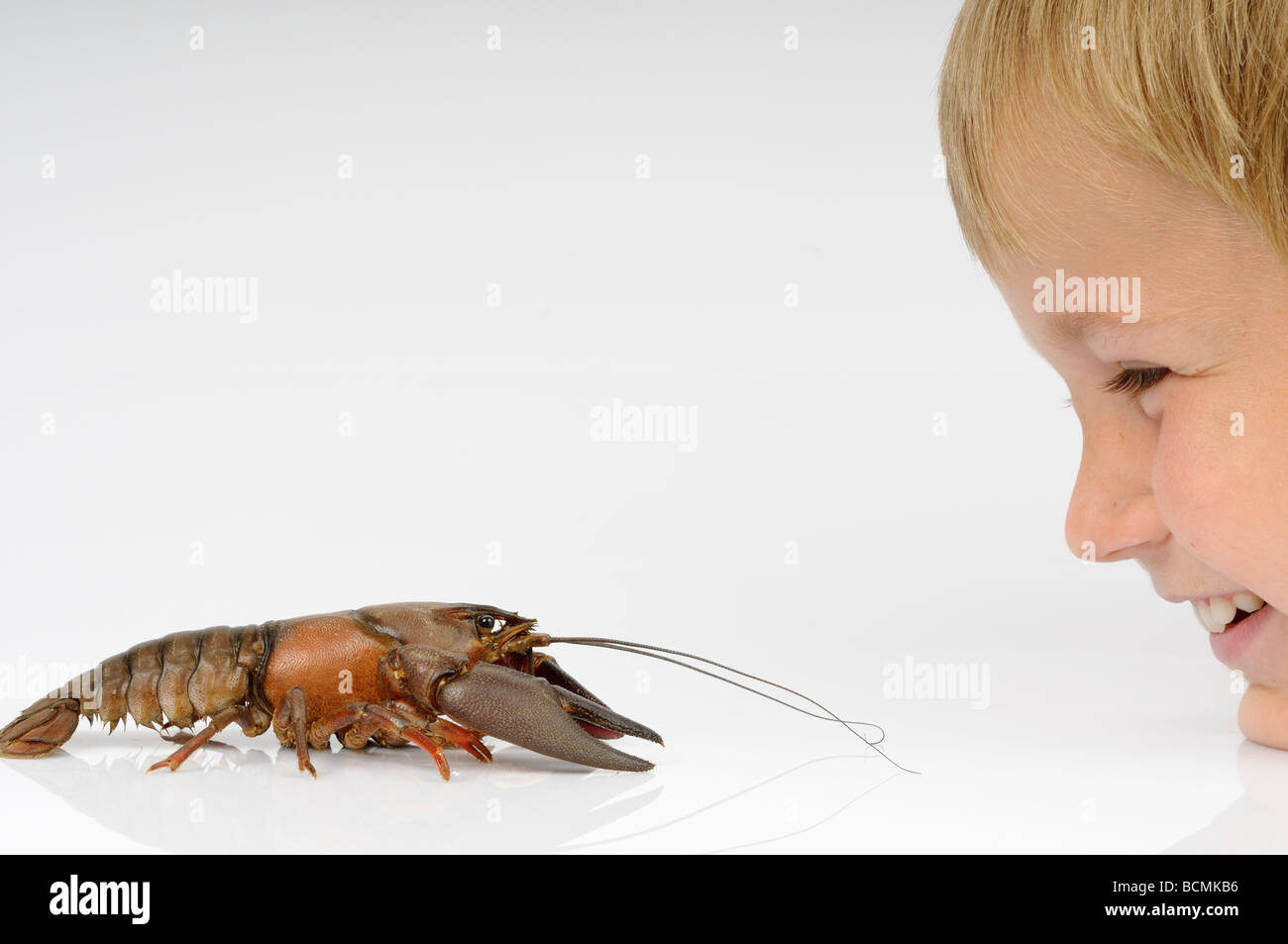 Stock photo of a 9 year old boy coming face to face and close up to a ...