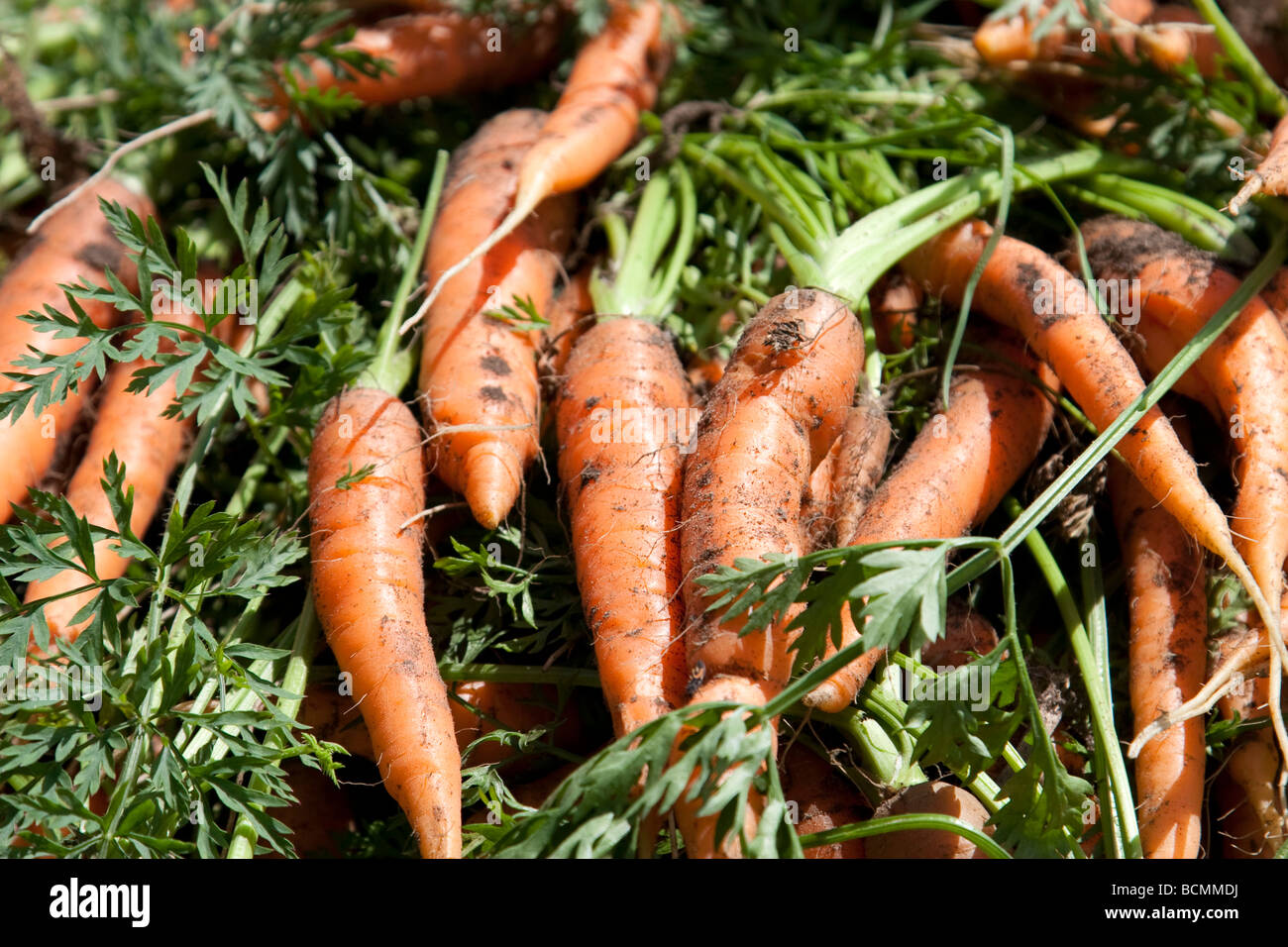 Hand picked hi-res stock photography and images - Alamy