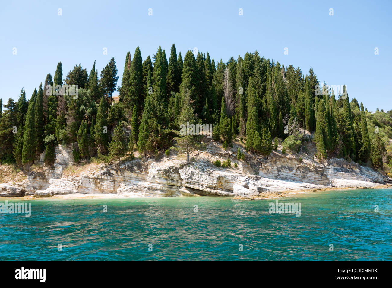 Cypress trees on the NE coast Corfu Stock Photo - Alamy