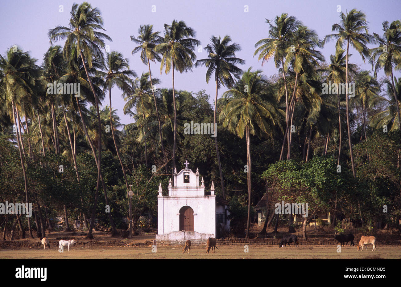 Chapel in Rural Goa India Stock Photo - Alamy
