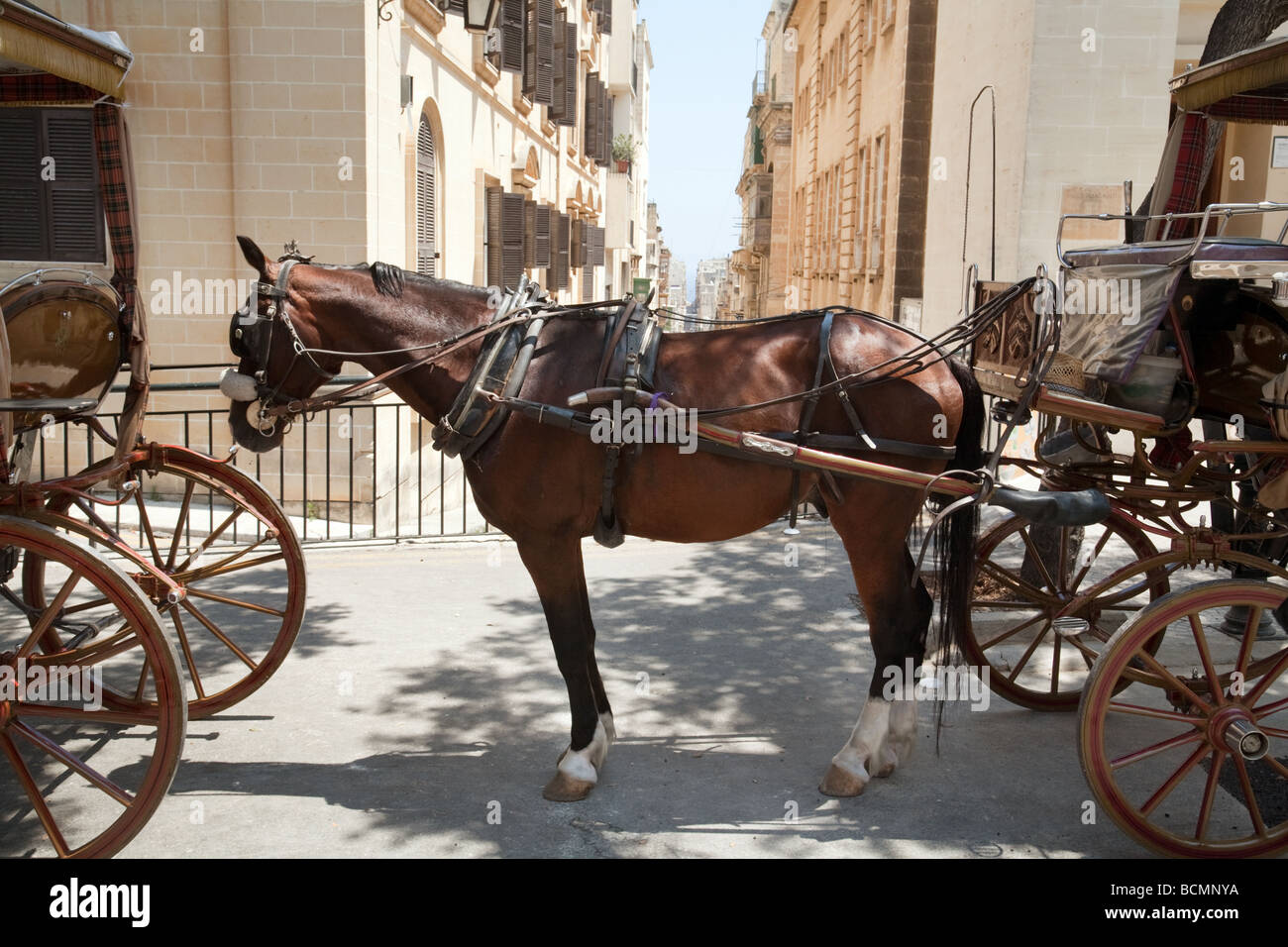 Horse carriage valletta malta hi-res stock photography and images - Alamy