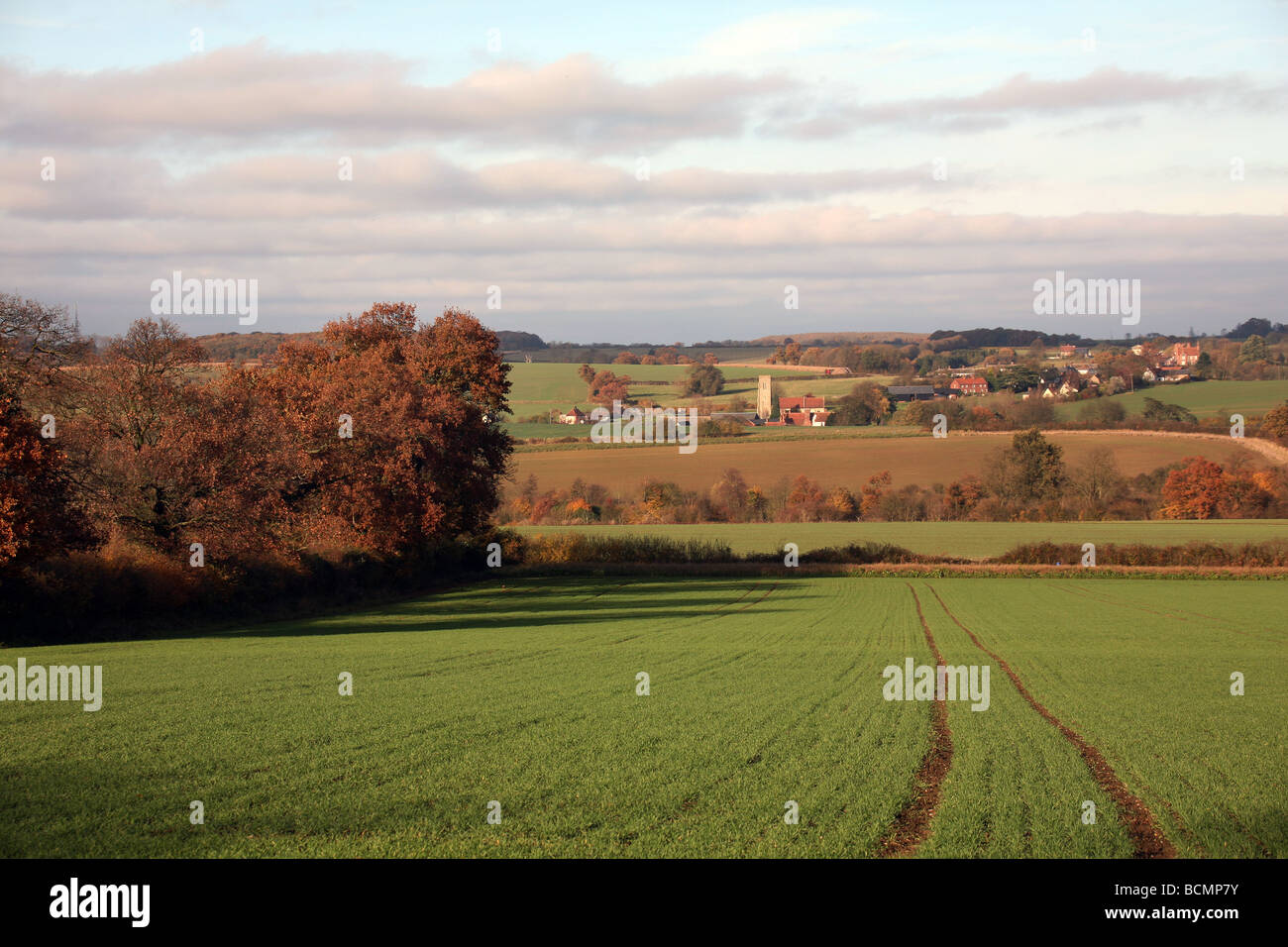 Suffolk landscape autumn hi-res stock photography and images - Alamy