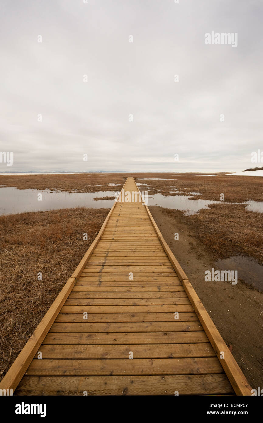 A PLATFORM FOR BIRD WATCHERS ON THE SAFETY SOUND Stock Photo - Alamy