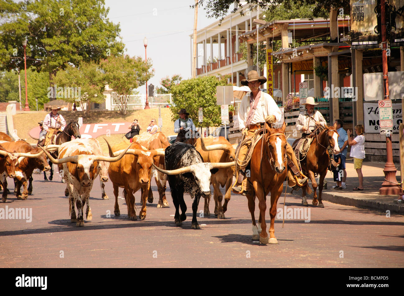 Cattle drive with cowboys at Stockyards in Fort Worth, Texas, USA Stock ...